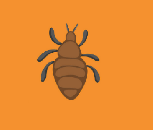 Tips for Dealing with the Aftermath of Lice Treatment [Infographic]