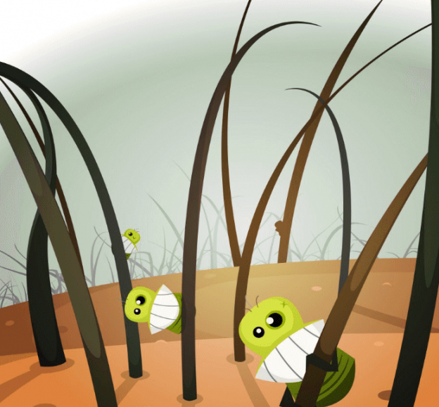 Combating Nits - A Guide For Parents